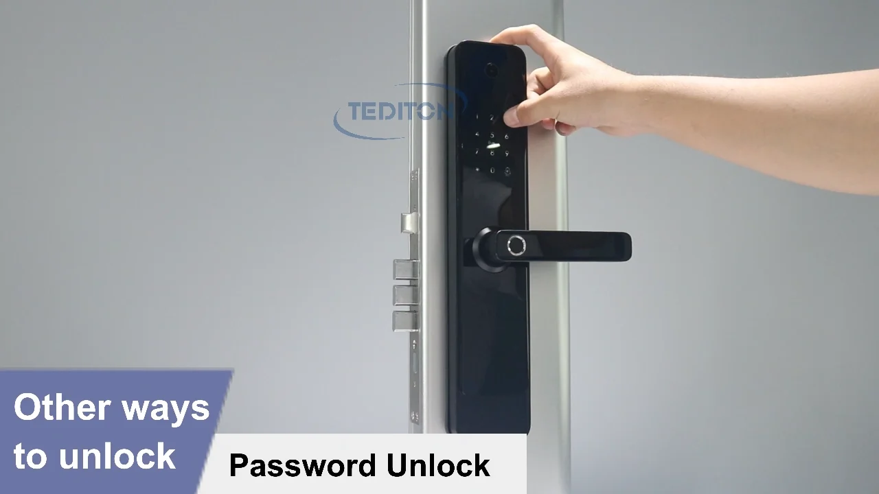 Tediton Real-time Video Call Tuya App Peephole Door Lock Fingerprint Smart Camera Door Lock With ...