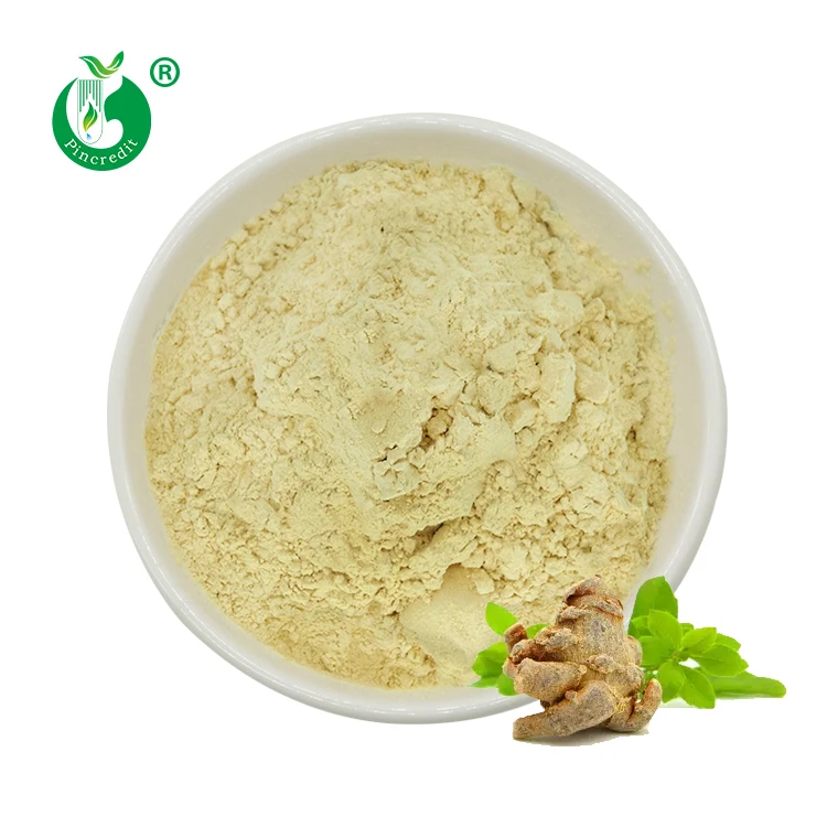Wholesale Bulk Chinese Herbal Saponins 80% Uv Sanchi Panax Notoginseng ...