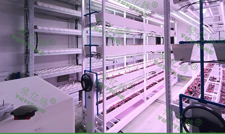 Vertical Hydroponic Grow Racks - Efficient Planting Solutions