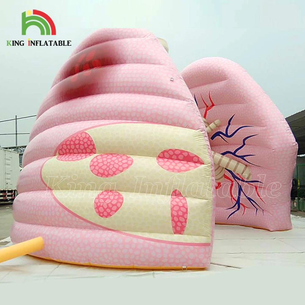 Giant Inflatable Anatomical Lungs Model Medical Inflatables Exhibits ...