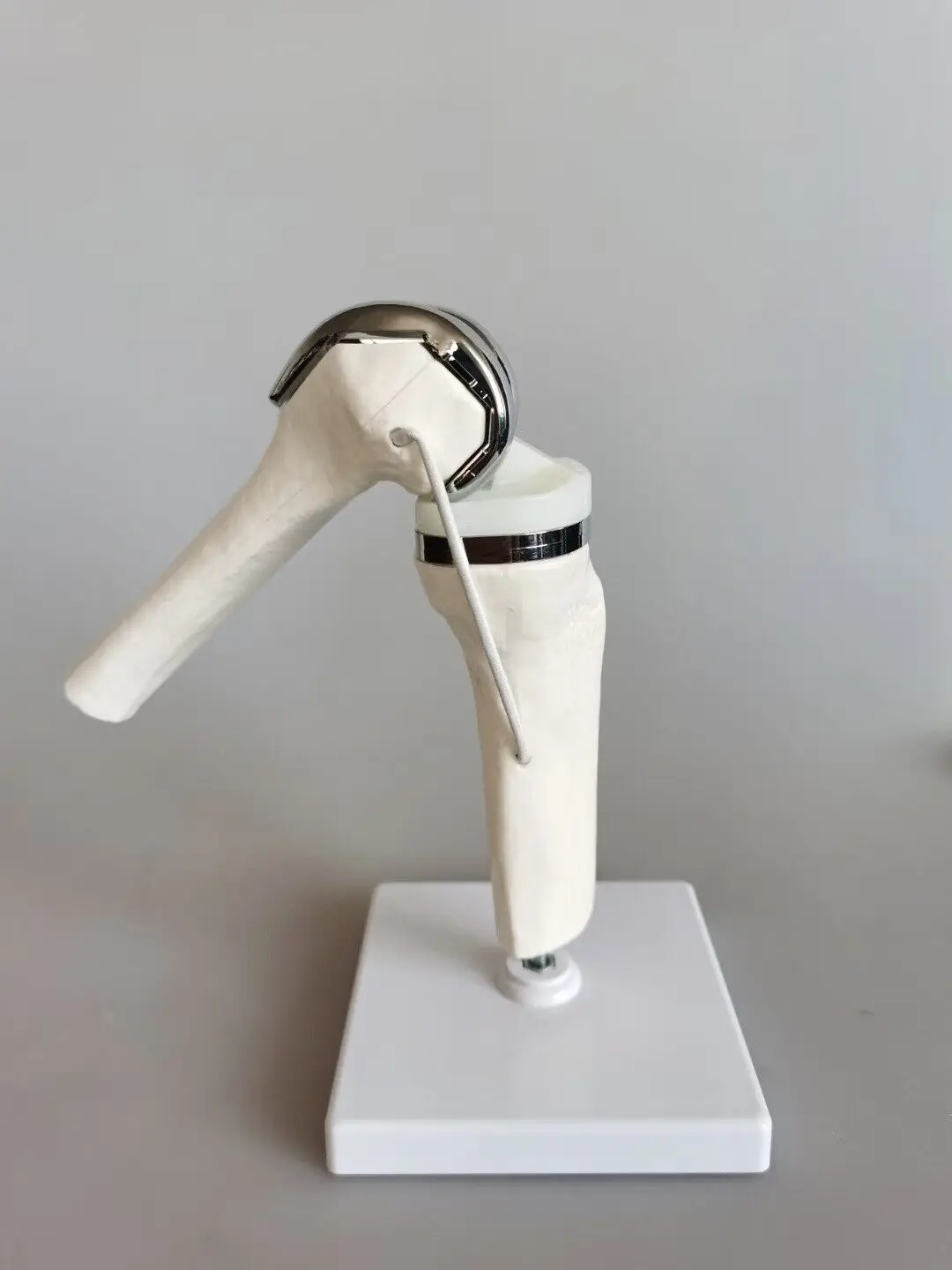 Kyrenmed Transparent Knee Replacement Model - Advanced ABS