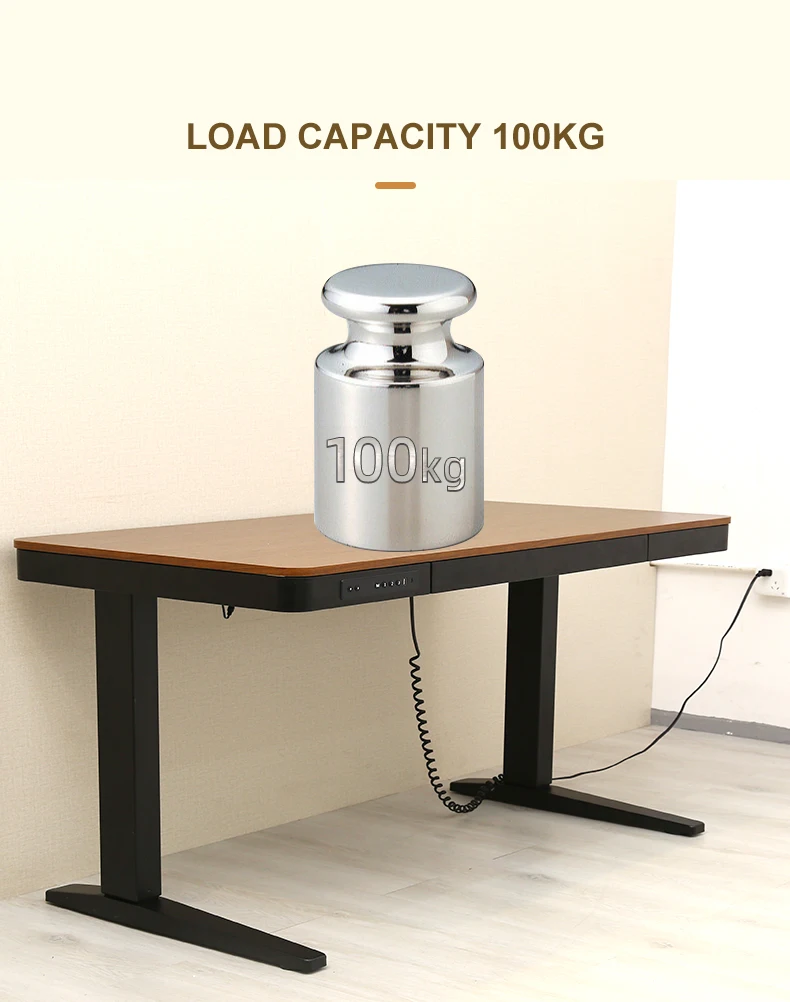 Dual Motor Telescopic Ergonomic Electric Height Adjustable Work and ...