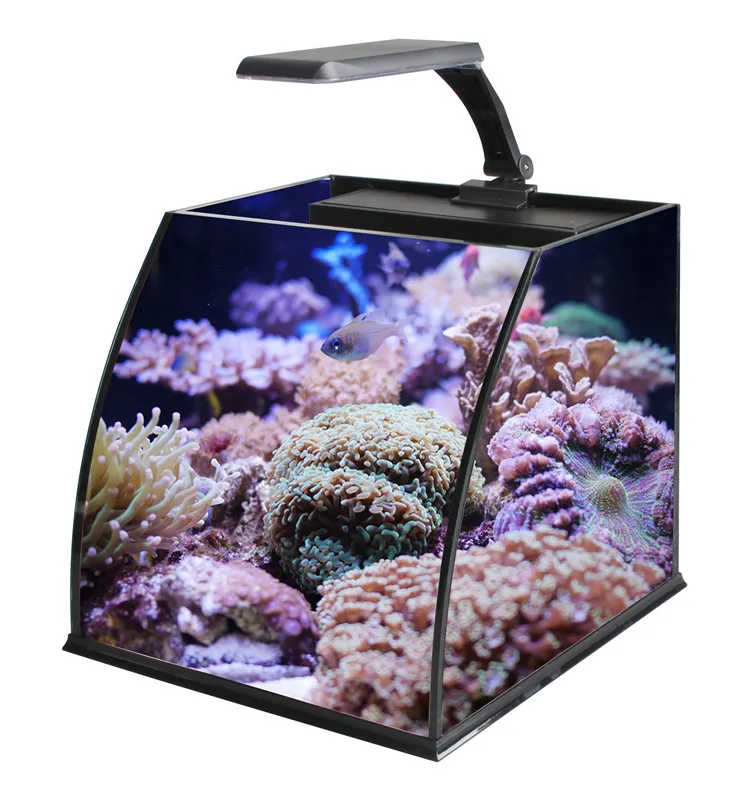 Ultra Clear Glass Mini Salt Water Marine Aquarium Fish Tank