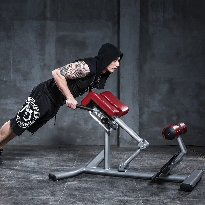 Fed Super Extension Machine Abdominal Back Extension Exercise Strength ...