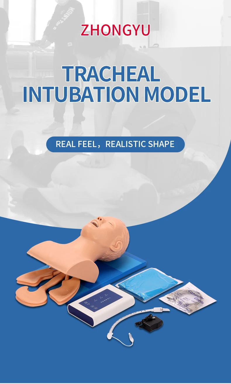 Adult Tracheal Intubation Training Model - Buy Intubation Training ...