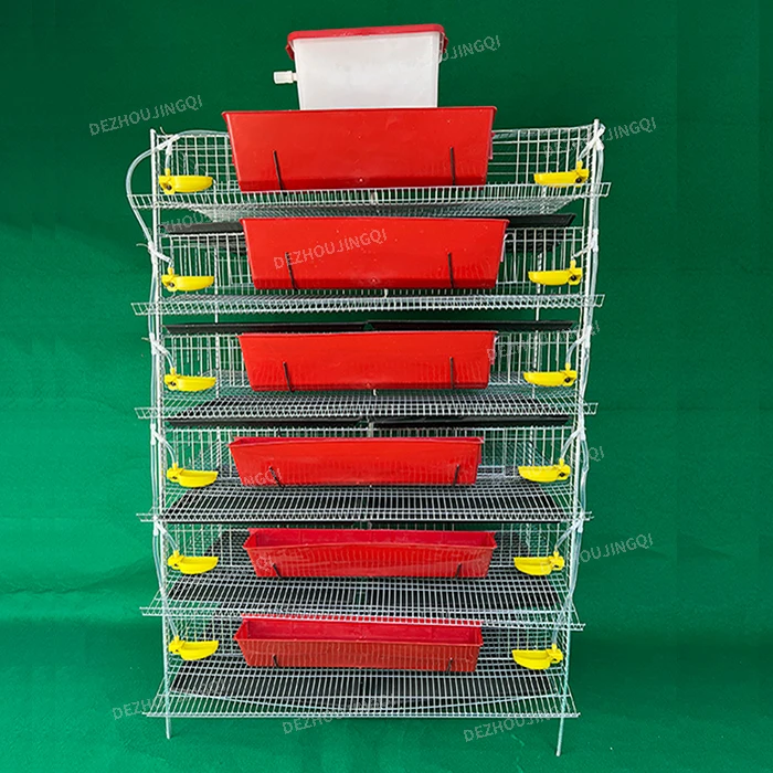 JINGQI Quail Feeders - Durable, Automatic Feeding Solutions