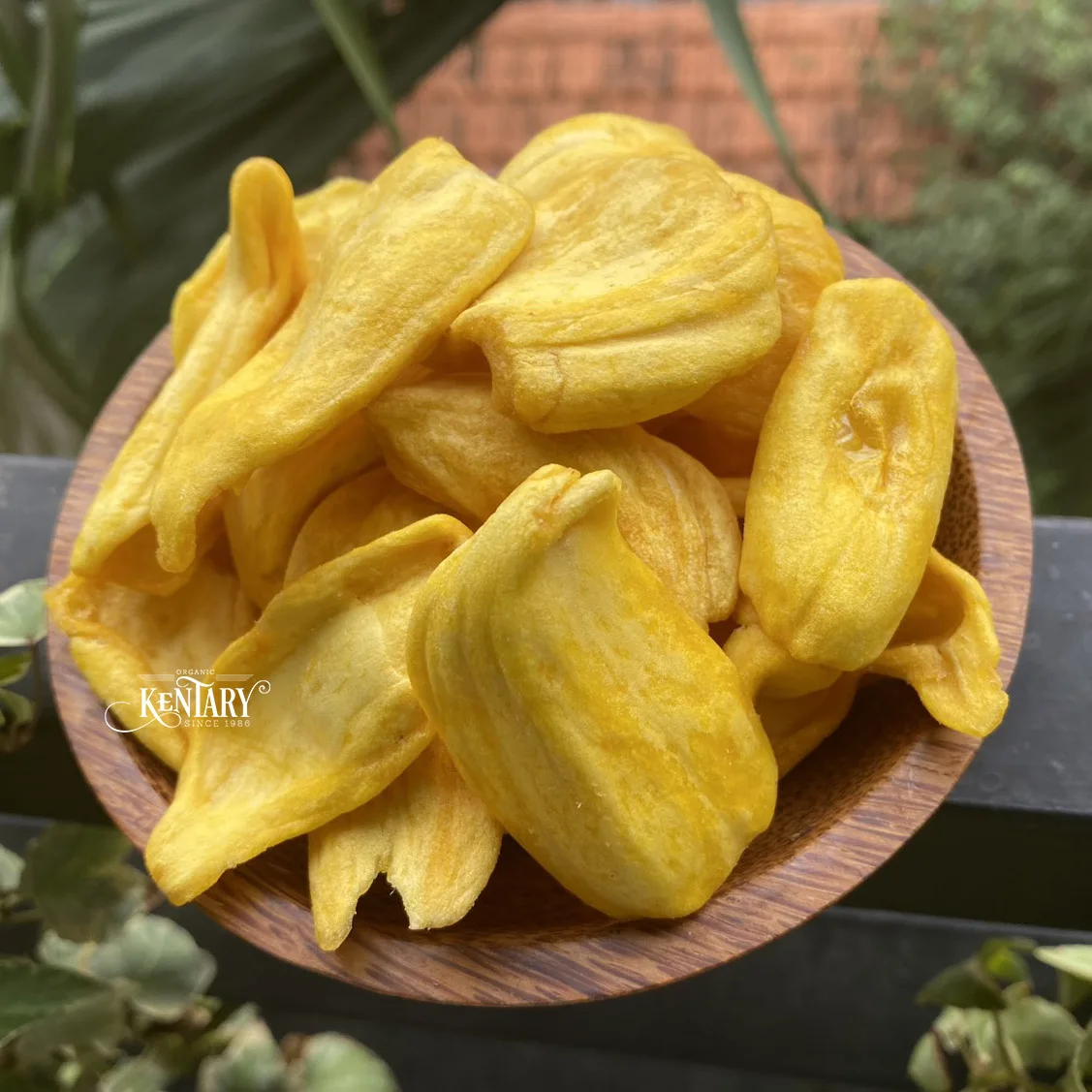 Bulk Crispy Jackfruit Chips - Sweet, Natural, & Healthy