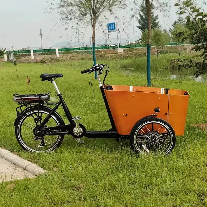 Dutch Electric Bakfiets - Efficient Cargo Bike Solutions