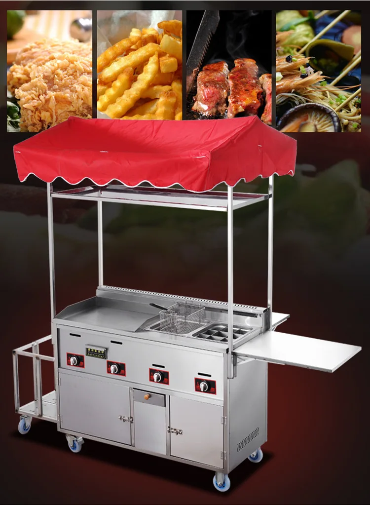 Multi Functional Food Truck - Fryer Grill Noodle Cooker