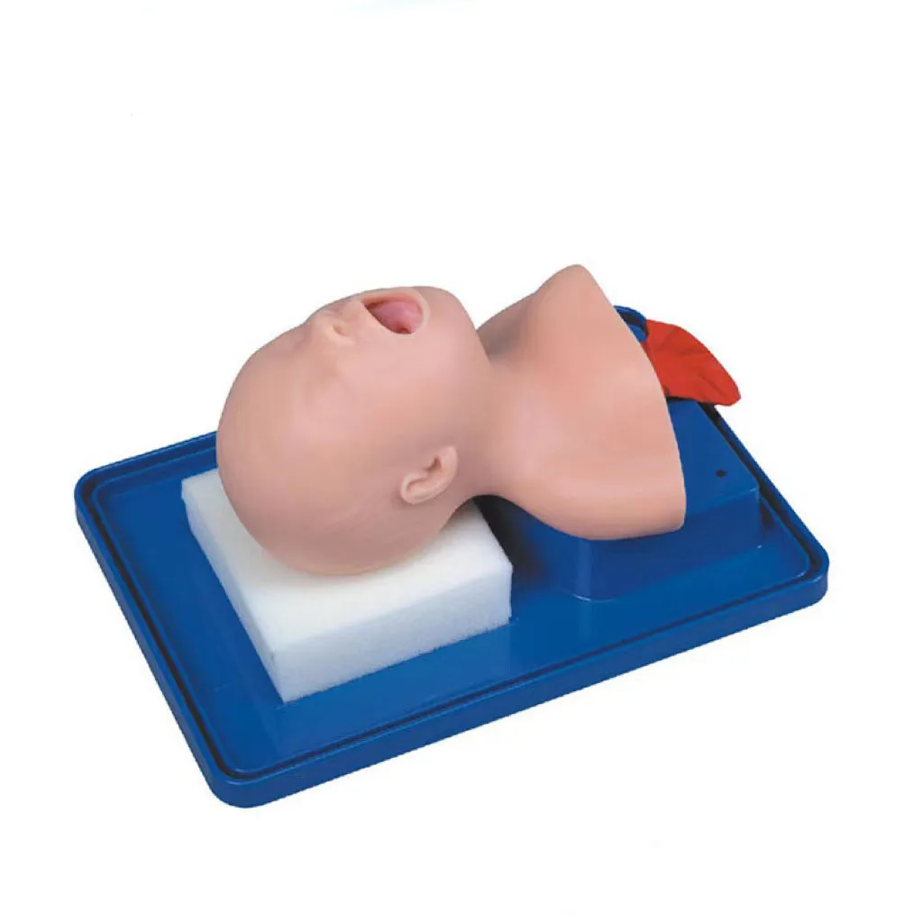 Neonatal Tracheal Intubation Model Airway Newborn Baby Management ...