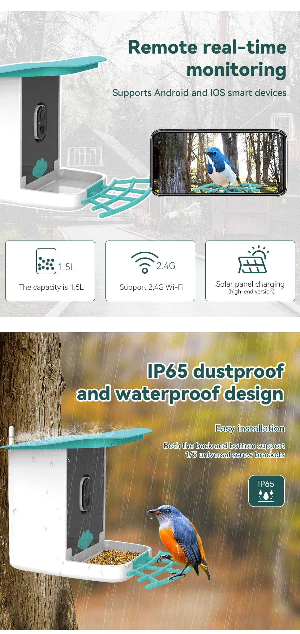 Auto Record Bird Video Bird Feeder Ai Identify Bird Species Feeder With ...