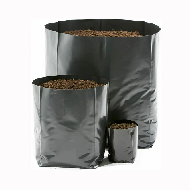 Plastic PE Seedling Nursery Bags Plant Sapling Grow Bag Mushroom Bag ...