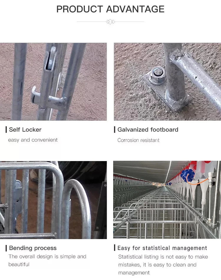New Design Pig Farming Equipment Animal Cages Hog Cages Sows Cage ...