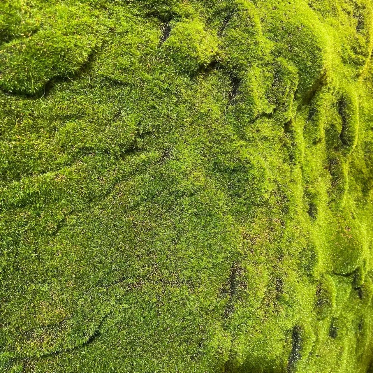 Wholesale 3D Wall Art-3D Moss Grass Wall Panel Plastic Artificial ...