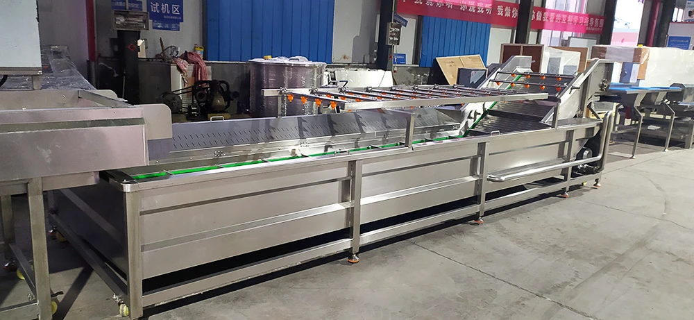 Complete 500kgs Mango Pulp Washing Sorting Machine Pineapple Peeling ...