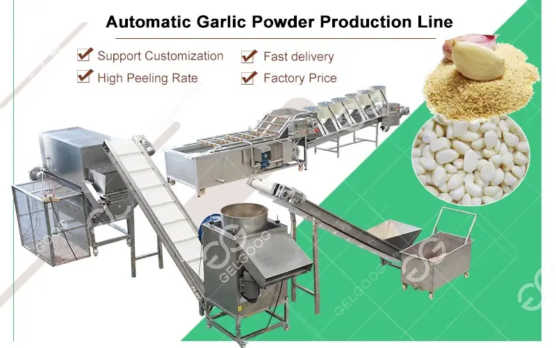 Gelgoog Manufctring Automatic Garlic Powder Processing Plant Garlic ...