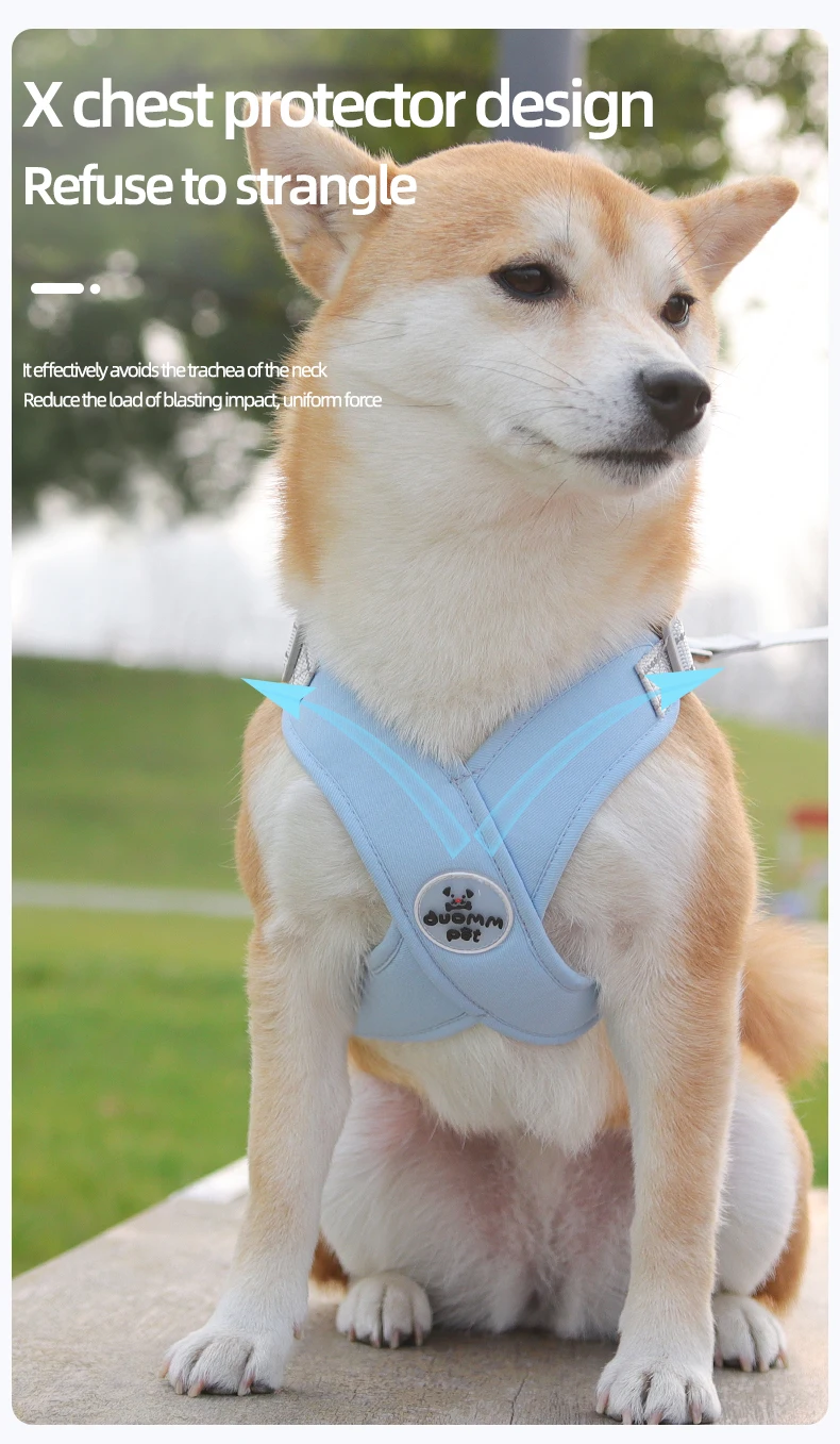 Reflective Chest Personalized Travel Custom Design Odm Wholesale Dog ...