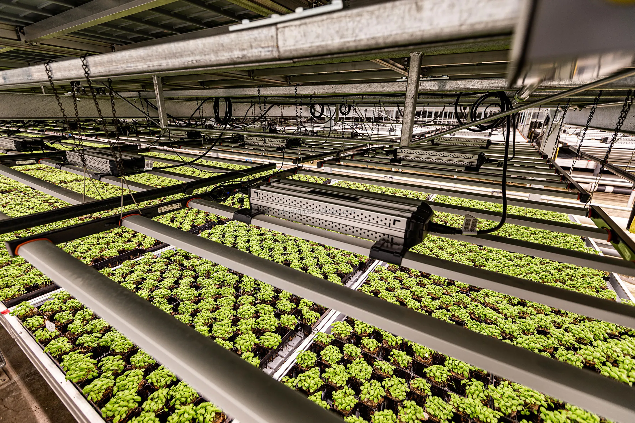 Skyplant PHEC-B2 Digital Nutrient Dosing Controller for Hydroponics