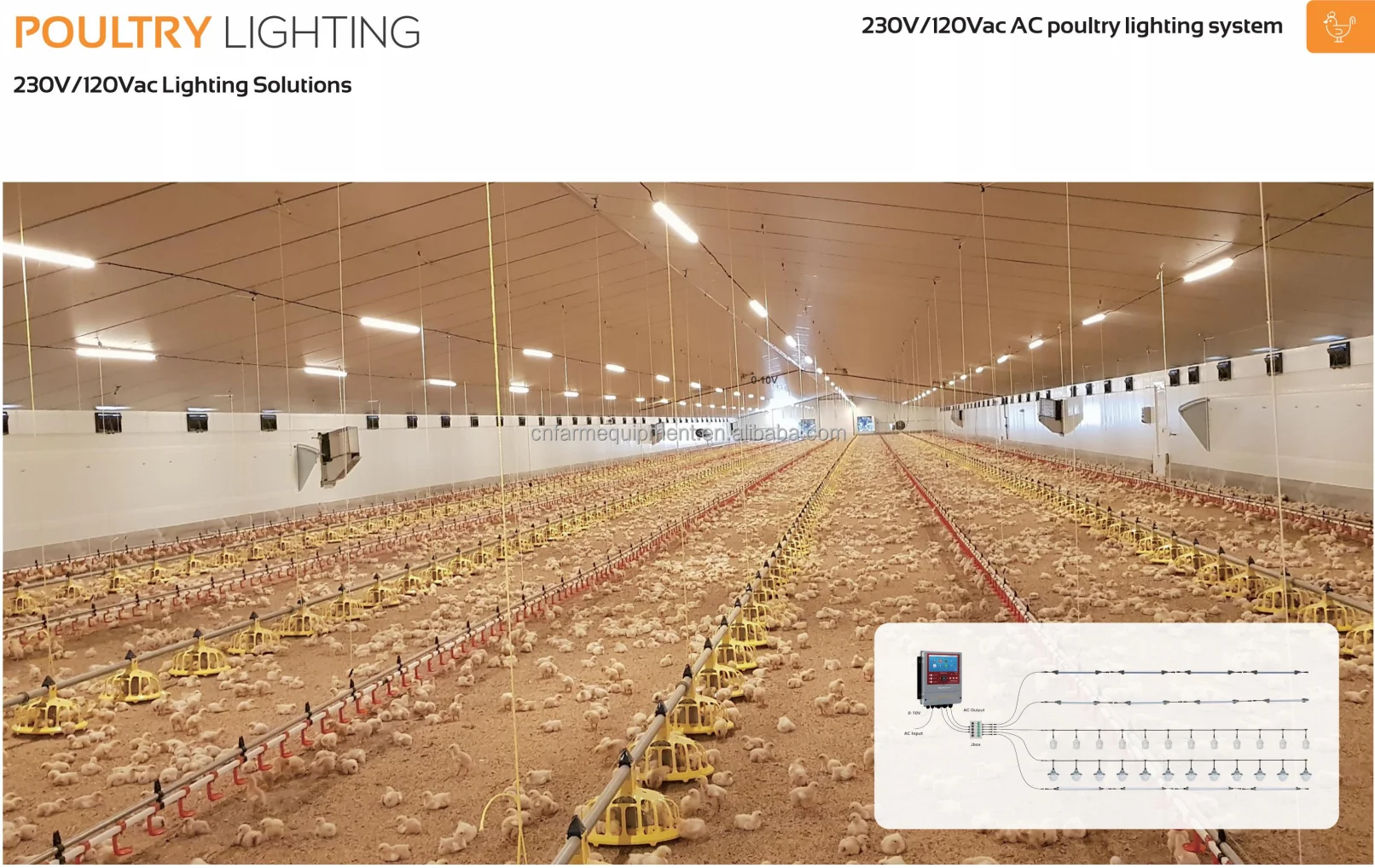 Full Set Light System for Broiler Farm 2 Floor 90m Length 12m Width ...