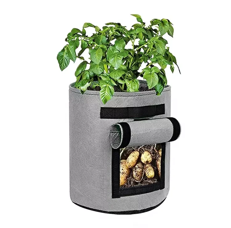 Hydroponic Felt Grow Bags - Vertical Indoor Gardening