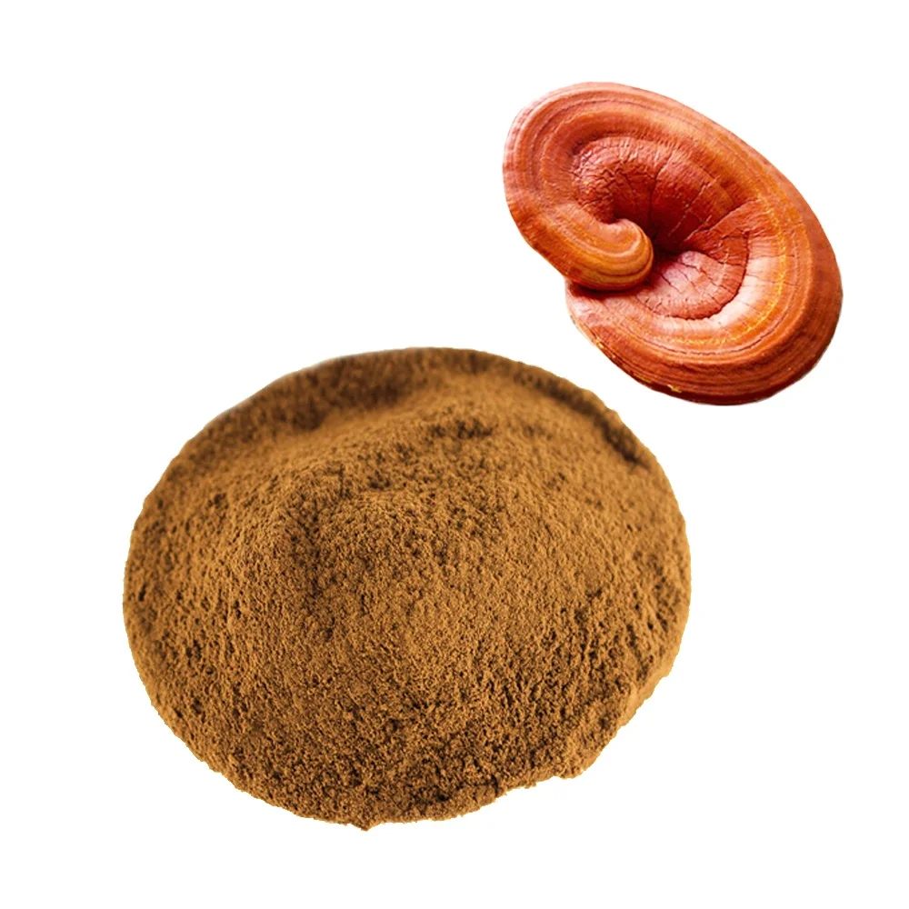 Organic Ganoderma Lucidum/ Lingzhi/ Reishi/ Extract Mushroom Herbal ...