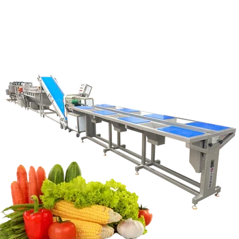 Automatic Continuous Vegetable Processing Equipment Prefabricated ...