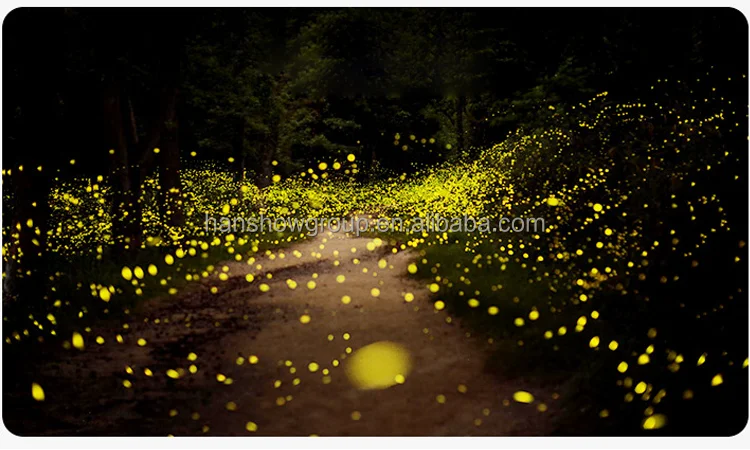 Dynamic Starry Night Firefly Projection 20W for Light Show Decoration ...