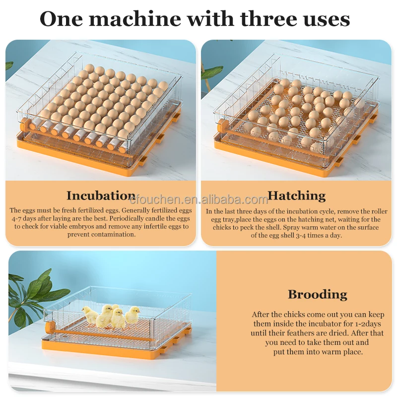 Ouchen Incubators - Efficient Hatching for Quail & Duck Eggs