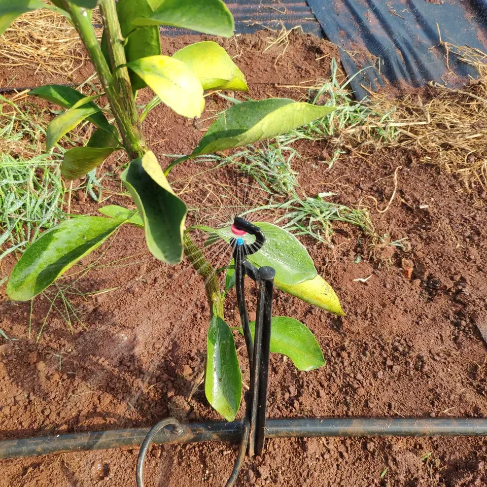 G Style Micro Sprinkler The Ground Hang Upside Down Refraction ...