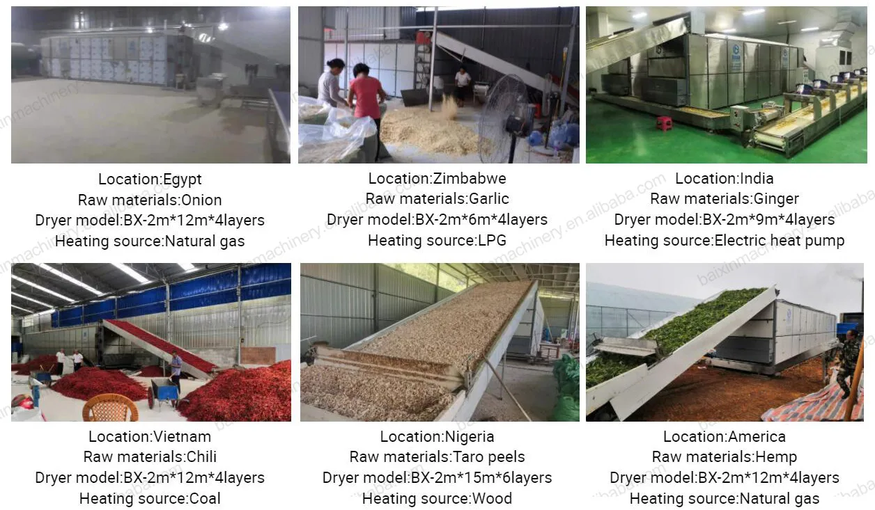 Doypack Stand Up Pouch Pomace Dryer Plum Processing Plantain Chips ...