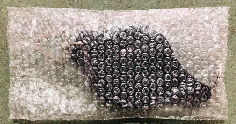 2023 New Design Retractable Plant Pulley Adjustable Hanging Rope Clip ...