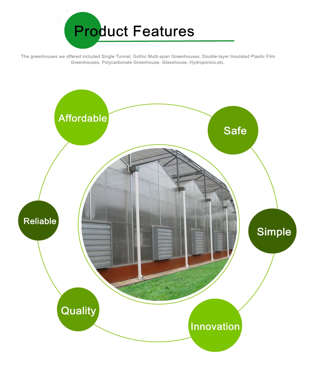 Modern Venlo Polycarbonate Greenhouses for Commercial Farming