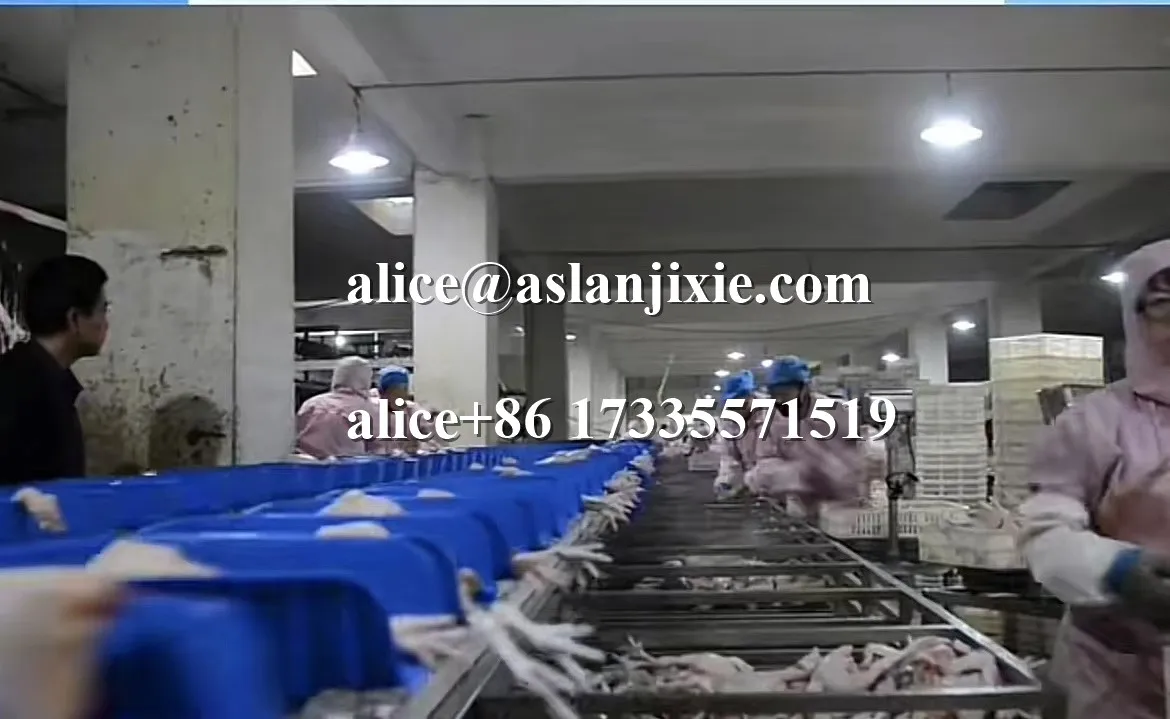 304 Stainless Steel Hopper Fruit Grading Machine / Poultry Meat Weight ...
