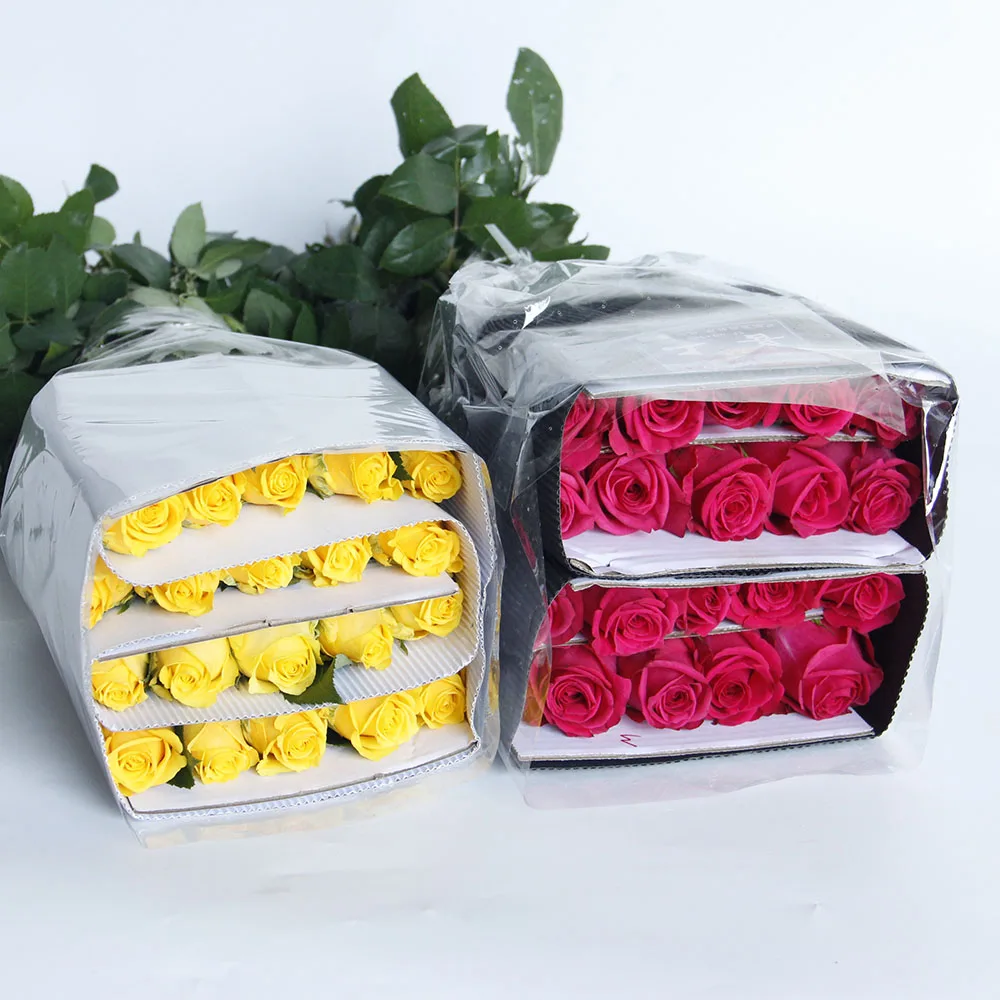 Yunnan Farmland Directly Supply Fresh Cut Flowers Red Roses Plateau Red ...