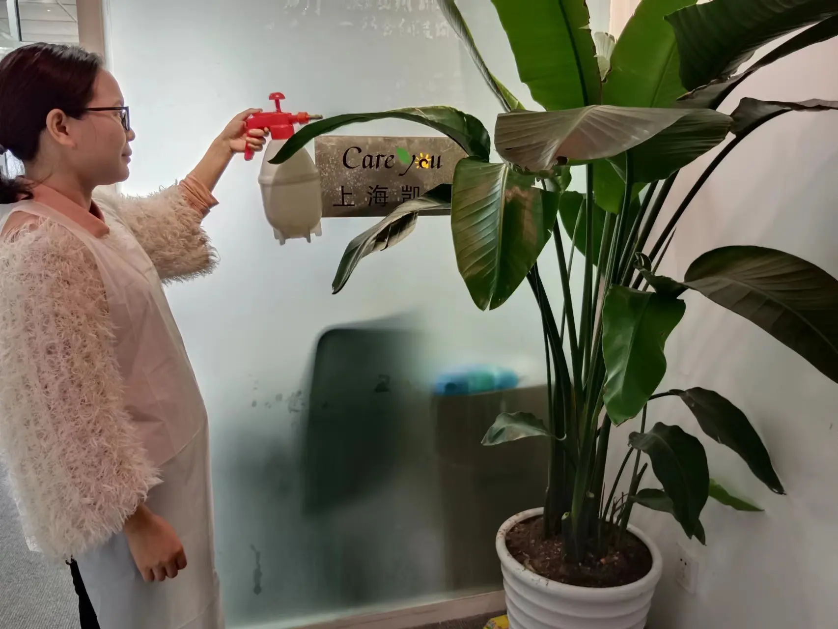 Customized Pbta Pla Corn Starch Biodegradable Disposable Aprons - Buy ...