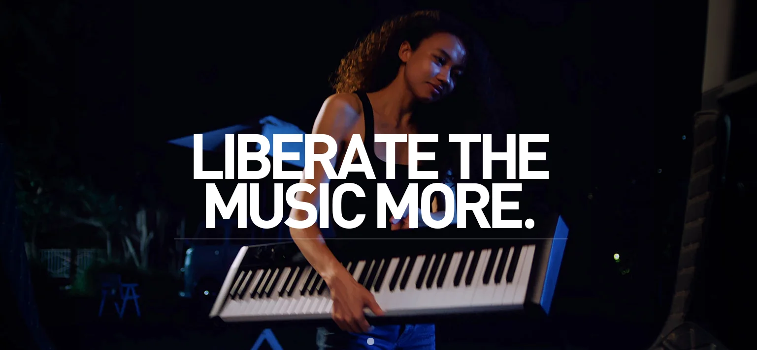 Terence TS01 Electric Keyboard - 61-Key Multi-Function Piano