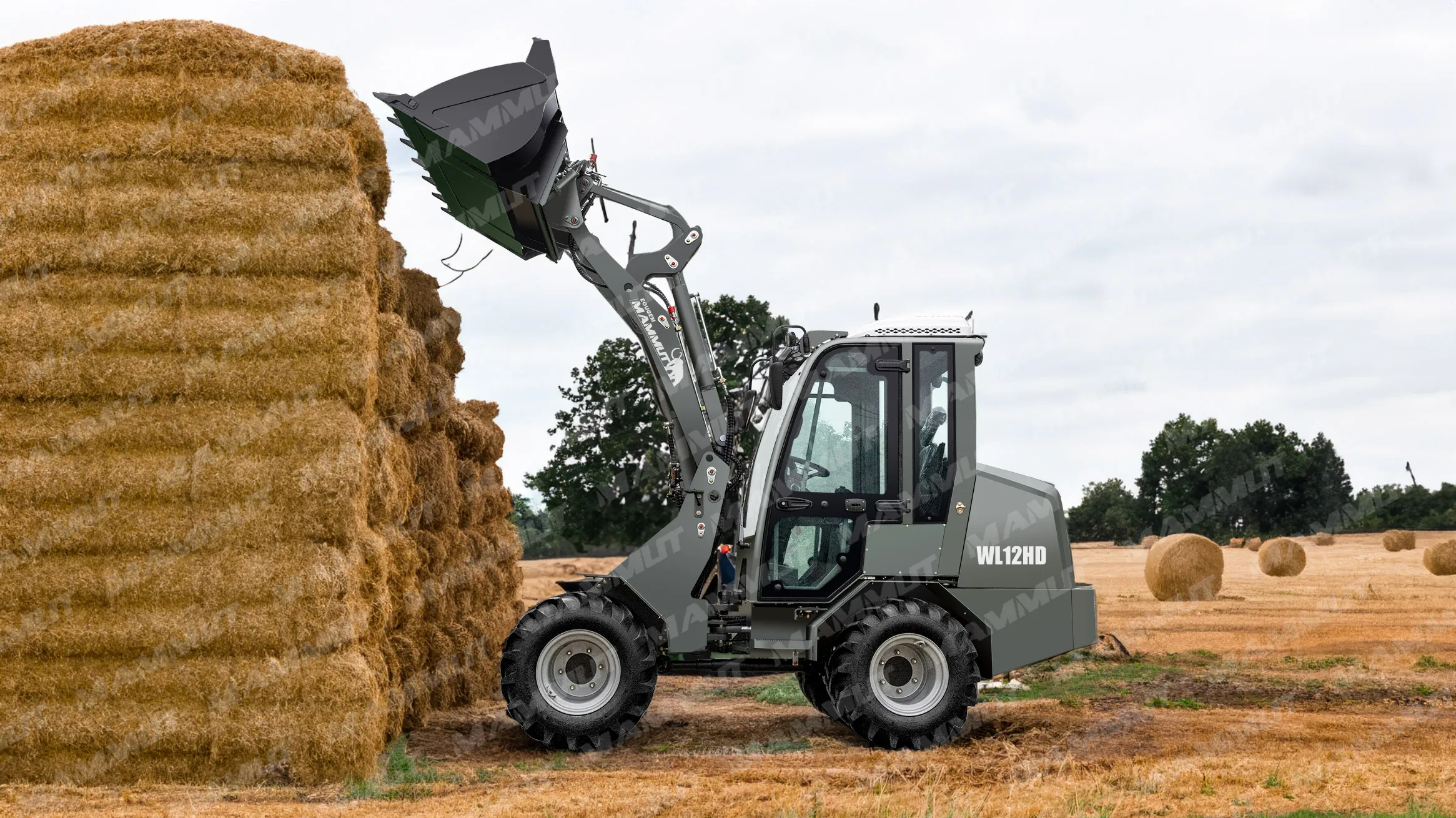 Epa Tire4 Mini Loader Wl35 1000kg 1ton Hydrostatic Compact Four Wheel ...