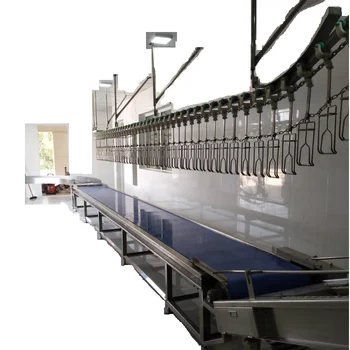 1000bph 3000bph 6000bph Automatic Complete Poultry Chicken Processing ...