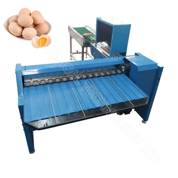 Plastic Table Top Grading Washer Grader Egg Sorter Machine With Ce ...