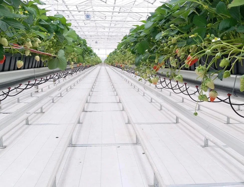 Geotextile Landscape Fabrics Green Weed Mat Ground Cover Garden Weed ...