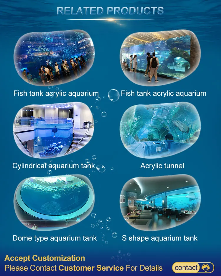 Organic Glass Acrylic Tunnel - High-Quality Underwater Display