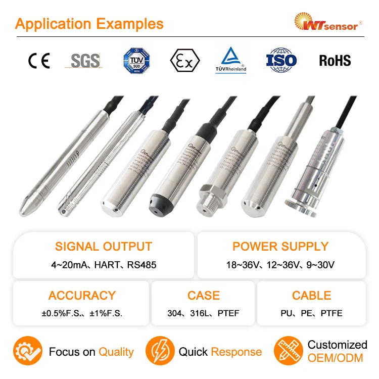 Alibaba.com: WTsensor Digital RS485 Probe Submersible Level Transmitter 4-20mA output for diesel ...