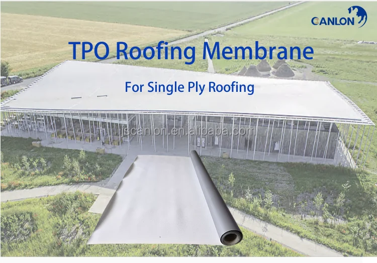 TPO Waterproofing Membrane - Durable & Versatile Solutions