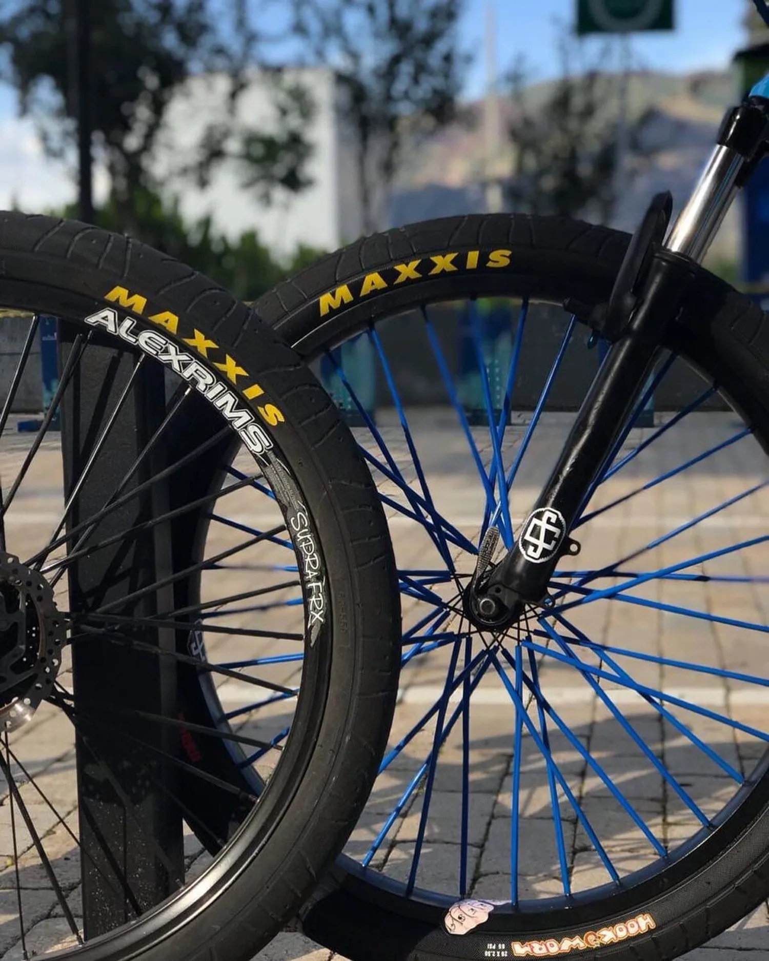 Maxxis Hookworm Bike Tires - High Quality and Durability