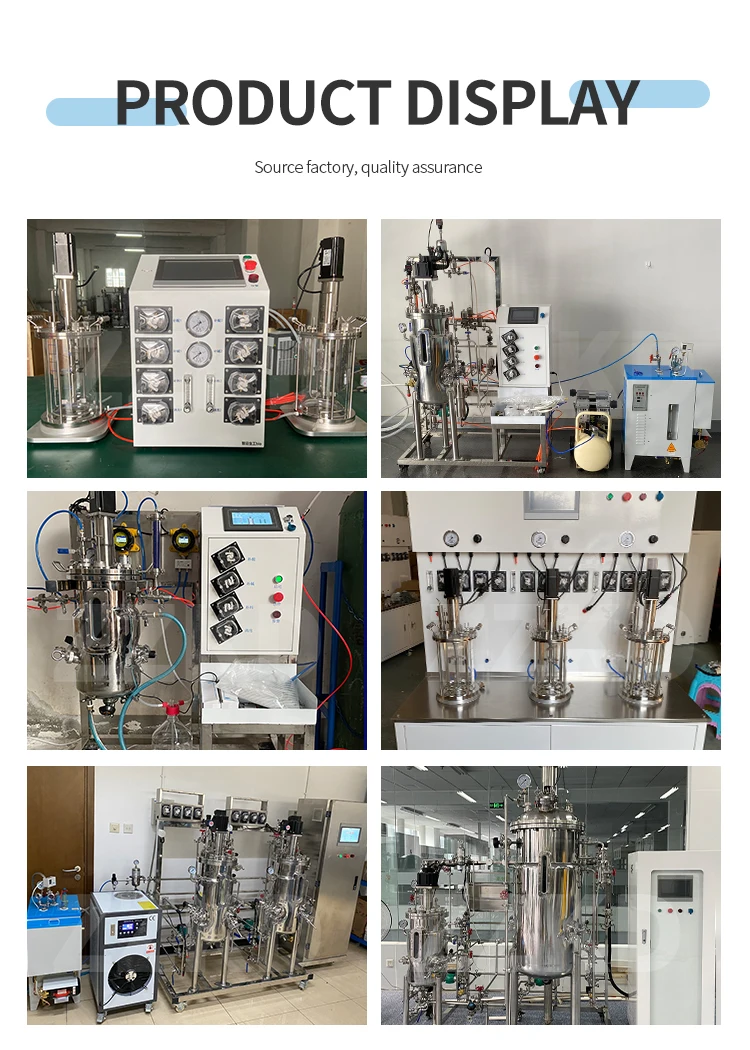 5L Bioreactor - High Viscosity Stirrer for Lab Fermentation