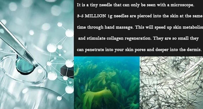 2024k Natural Seaweed Extract Renew Ance Removal Sponge Spicule Bio ...