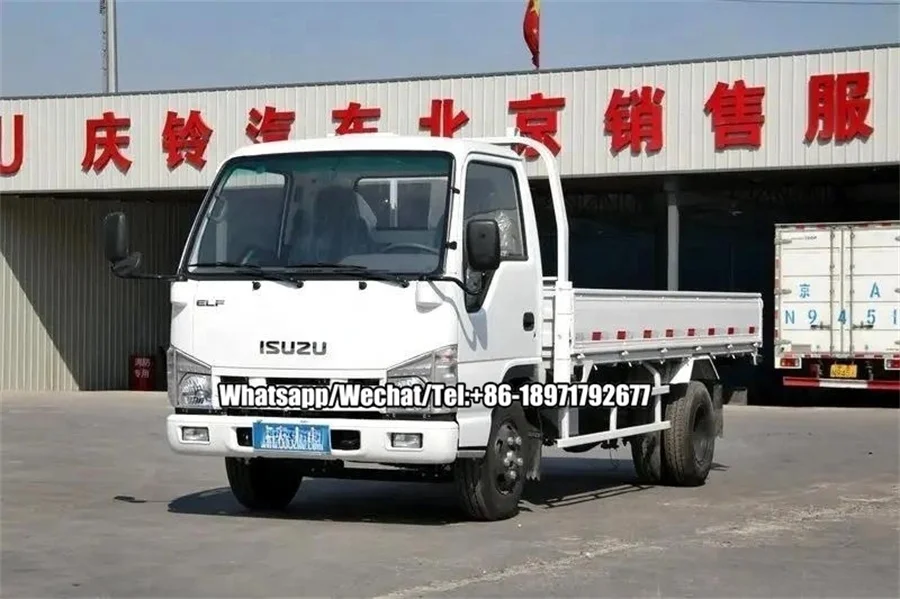 Japanese Isuzu Brand 4x2 Mini 2ton Small Cargo Box Trucks for Sale