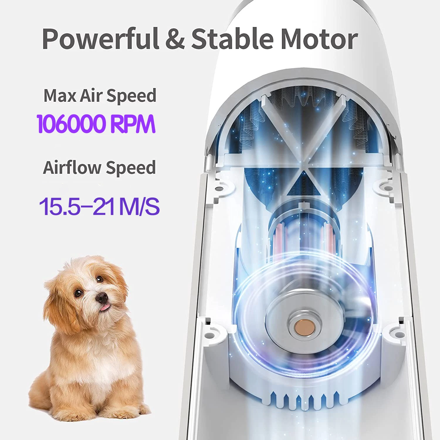 Pet Dryer For Dog Portable Handheld Pet Grooming Hair Dryer Less Noise ...
