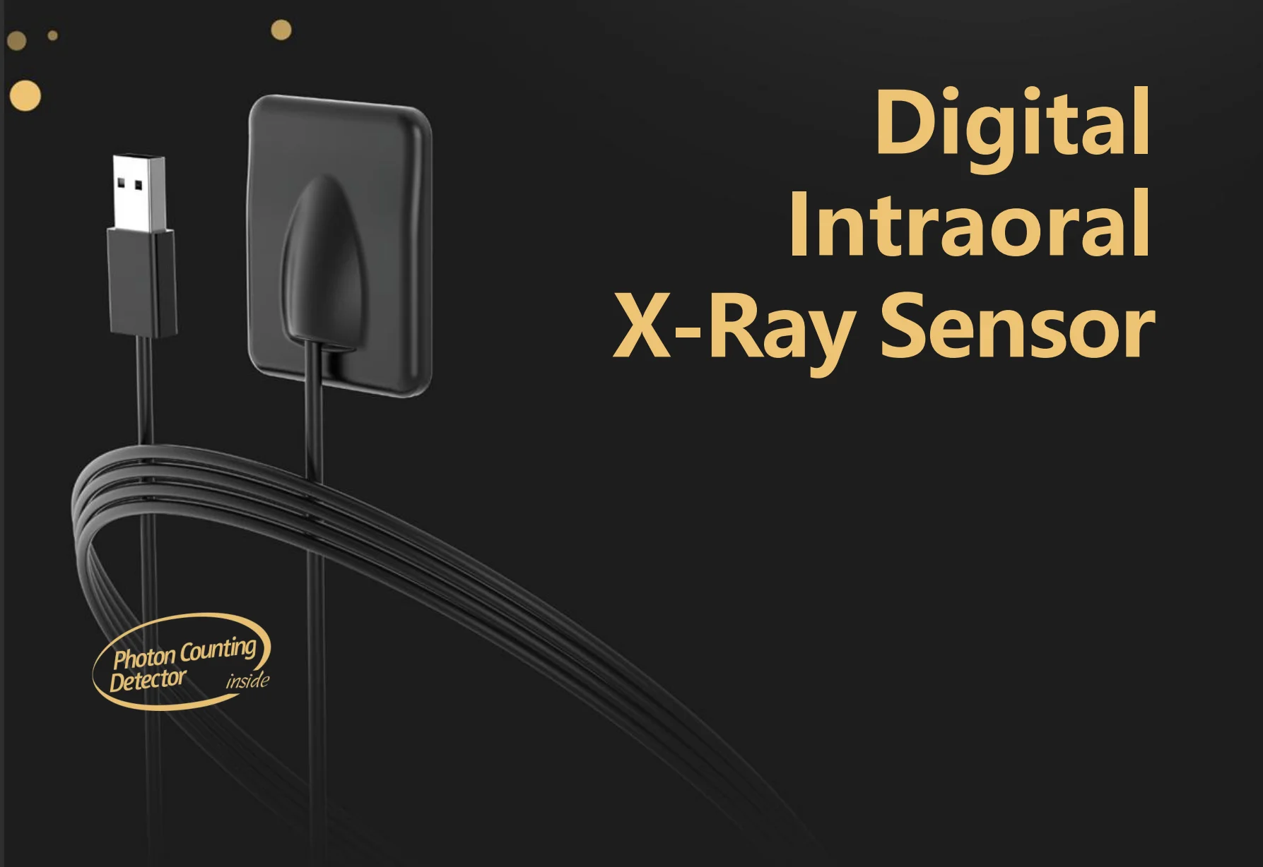 Rvg Digital Oral X-ray Sensor Oral Imaging System Dental X-ray Sensor ...