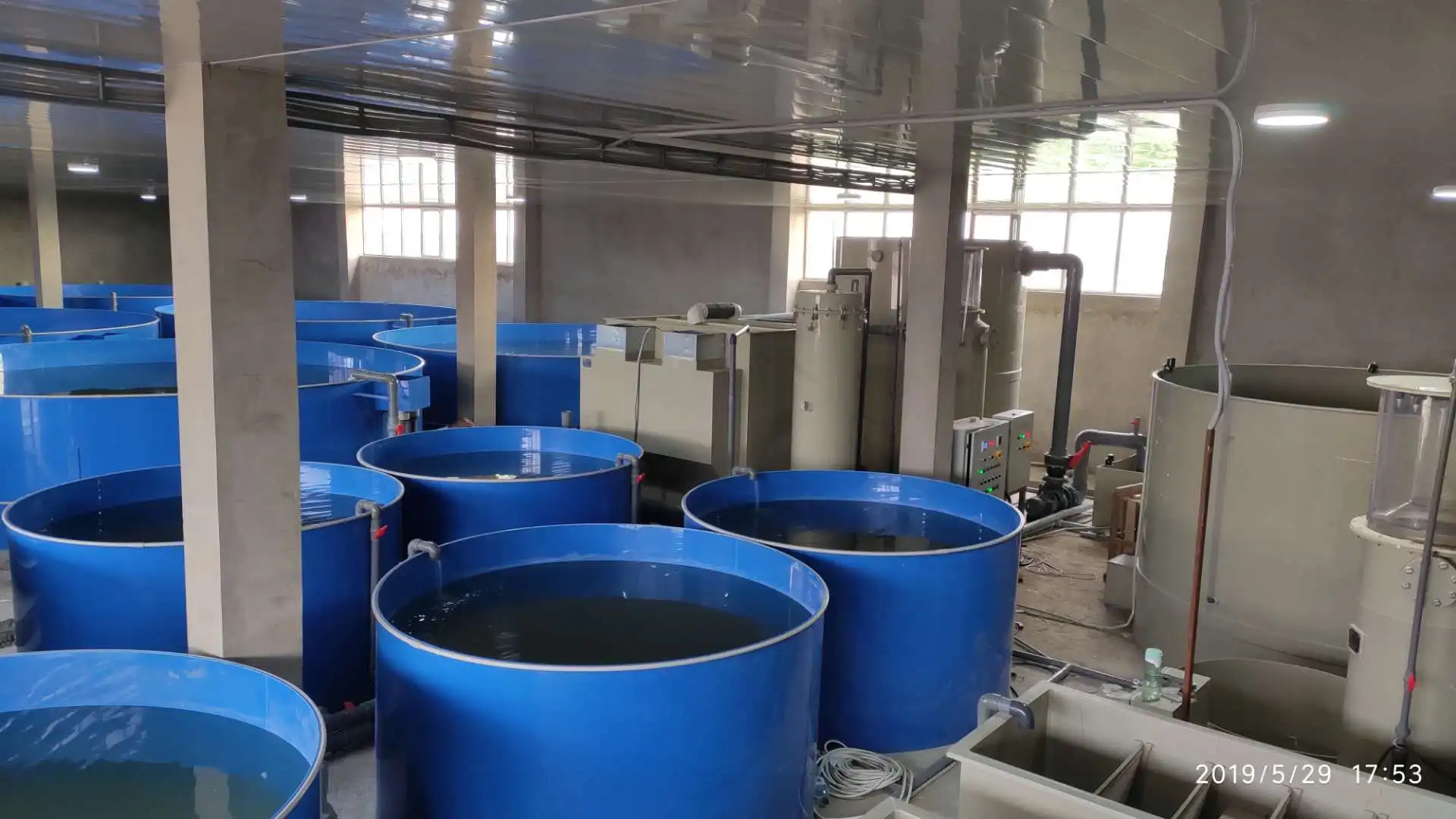 Biofloc Tank Design for Efficient Freshwater Fish Farming